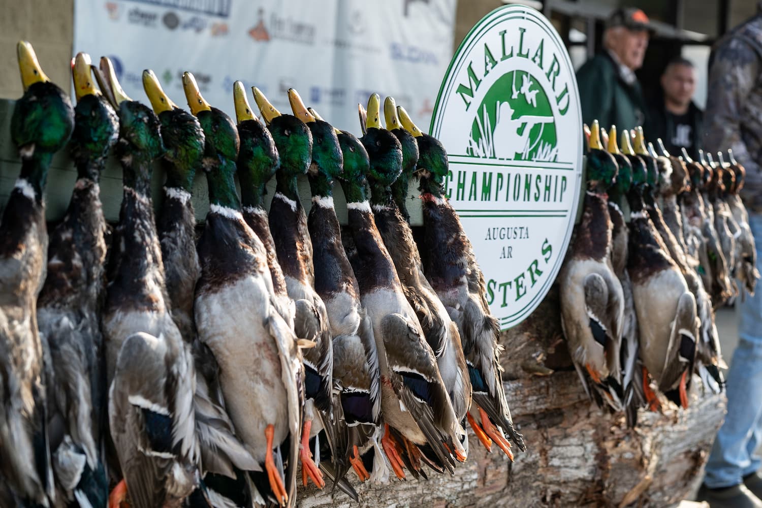 Team Hunt Registration – Mallard Masters Championship